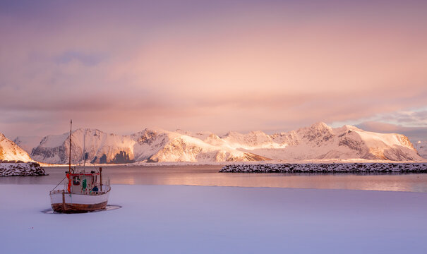 Clipfish bilder – Bläddra bland 4,996 stockfoton, vektorer och videor ...