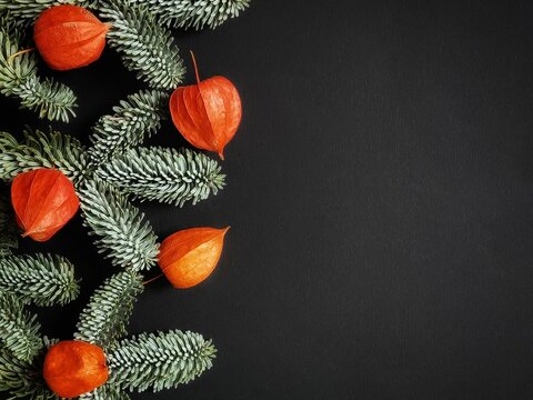 Judenkirsche Bilder – Durchsuchen 38,601 Archivfotos, Vektorgrafiken ...