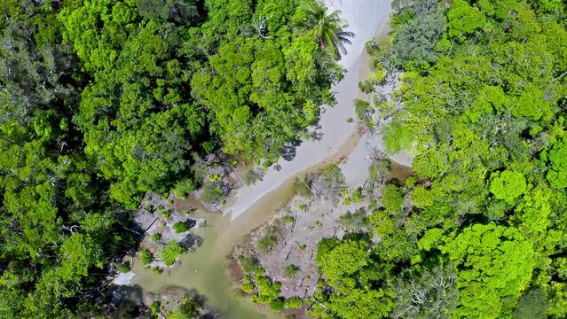 "Daintree Rainforest" Images – Browse 599 Stock Photos, Vectors, and ...