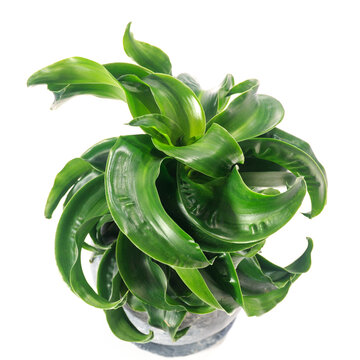 トルネード Images – Browse 605 Stock Photos, Vectors, and Video | Adobe Stock