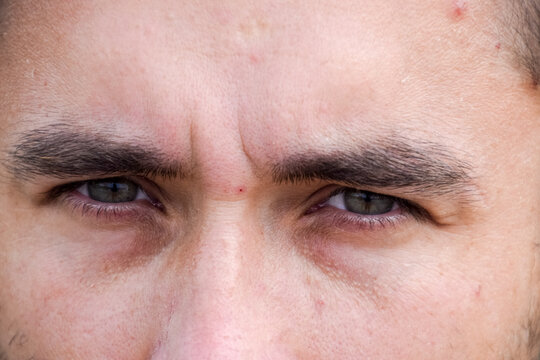 รูปภาพGaze – เลือกดูภาพถ่ายสต็อก เวกเตอร์ และวิดีโอ330,278 | Adobe Stock