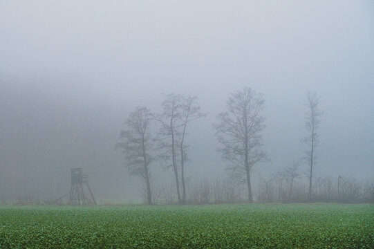 12,449 件の最適な Nebelig 画像、ストック写真、ベクター | Adobe Stock