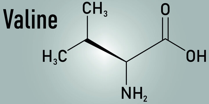 C5H11No2 Images – Browse 37 Stock Photos, Vectors, and Video | Adobe Stock