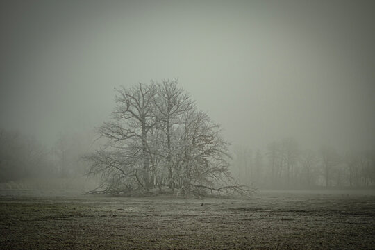 12,449 件の最適な Nebelig 画像、ストック写真、ベクター | Adobe Stock