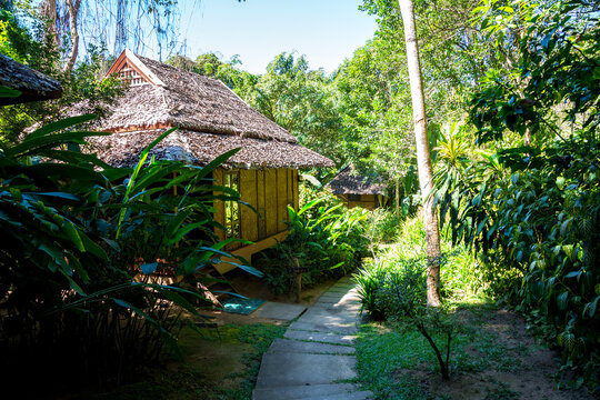 Chiant Images – Browse 9 Stock Photos, Vectors, and Video | Adobe Stock