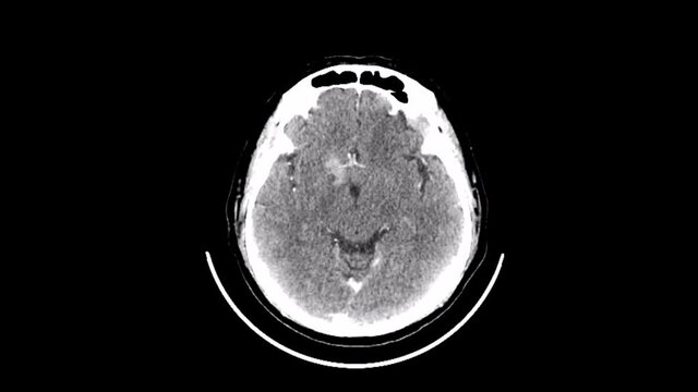 「Sellar」の写真素材 | 1,114件の無料イラスト画像 | Adobe Stock