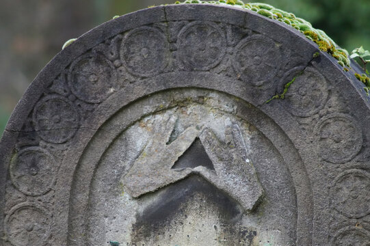 「Kohen」の画像 - 666 件の Stock 写真、ベクターおよびビデオ | Adobe Stock