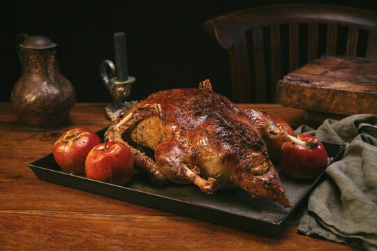 Mastgans Imagens – Procure 161 fotos, vetores e vídeos | Adobe Stock