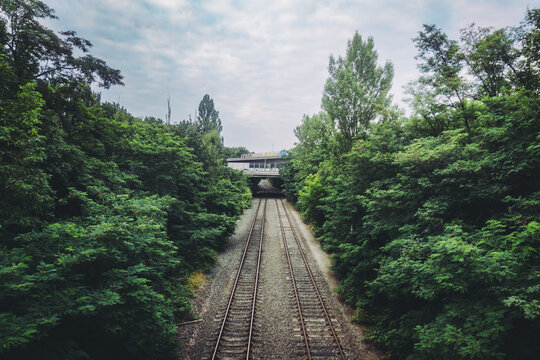 รูปภาพBahnschienen – เลือกดูภาพถ่ายสต็อก เวกเตอร์ และวิดีโอ1,692 ...