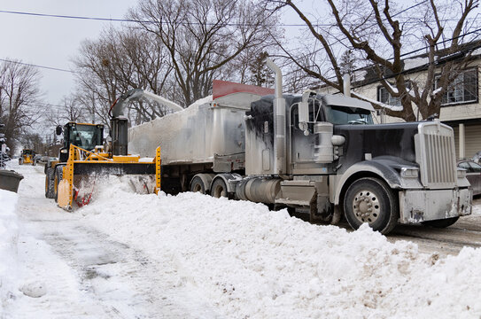 รูปภาพ"Pelle – เลือกดูภาพถ่ายสต็อก เวกเตอร์ และวิดีโอ19,912 | Adobe Stock