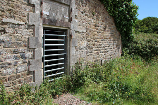 รูปภาพArgant – เลือกดูภาพถ่ายสต็อก เวกเตอร์ และวิดีโอ383 | Adobe Stock