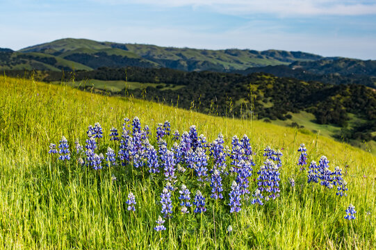 Jim Ekstrand photos, images, assets | Adobe Stock