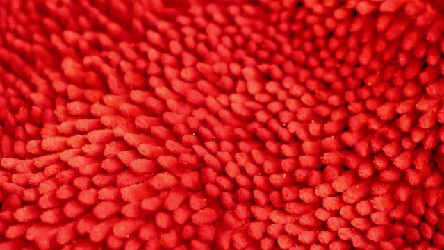 "Scarlet Background" Images – Browse 92 Stock Photos, Vectors, and ...