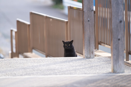 รูปภาพChariness – เลือกดูภาพถ่ายสต็อก เวกเตอร์ และวิดีโอ1,863 | Adobe Stock
