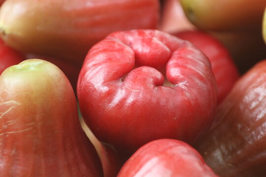 Makopa 画像 - 参照 2,095 Stock 写真、ベクターおよびビデオ | Adobe Stock