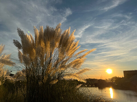 Kashful Images – Browse 382 Stock Photos, Vectors, and Video | Adobe Stock