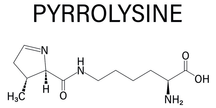 Pyrrolysine bilder – Bläddra bland 50 stockfoton, vektorer och videor ...