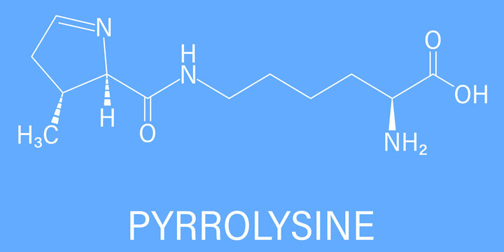 「Pyrrolysine」の写真素材 | 50件の無料イラスト画像 | Adobe Stock
