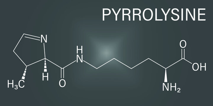 Pyrrolysine bilder – Bläddra bland 64 stockfoton, vektorer och videor ...