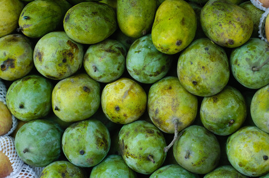 Mayor bilder – Bläddra bland 50,540 stockfoton, vektorer och videor ...