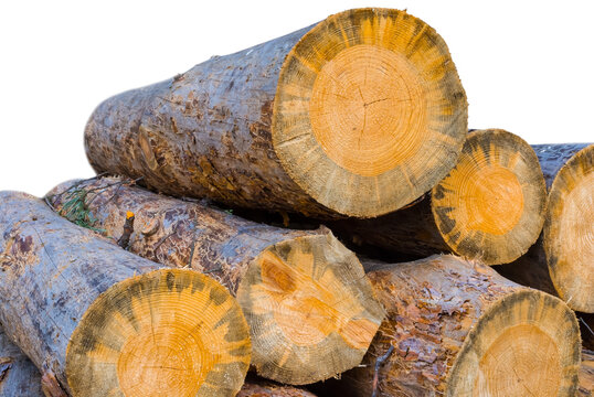 Log White Background Images – Browse 106,304 Stock Photos, Vectors, and ...