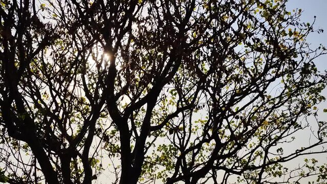 Post Mall Cinemas Stock Videos – 3 HD & 4K Footage Clips | Adobe Stock