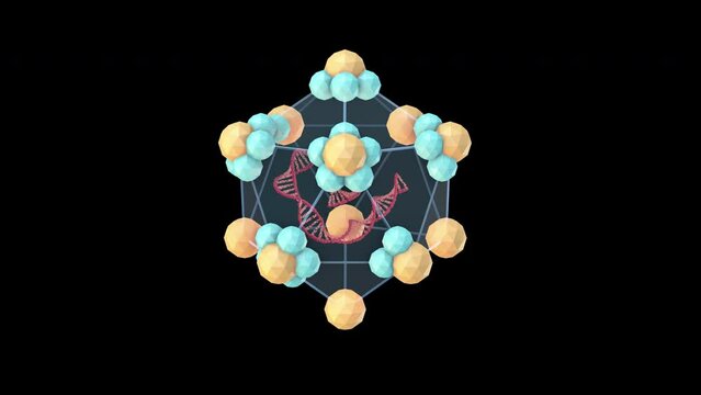 Hexon Images – Browse 85 Stock Photos, Vectors, and Video | Adobe Stock