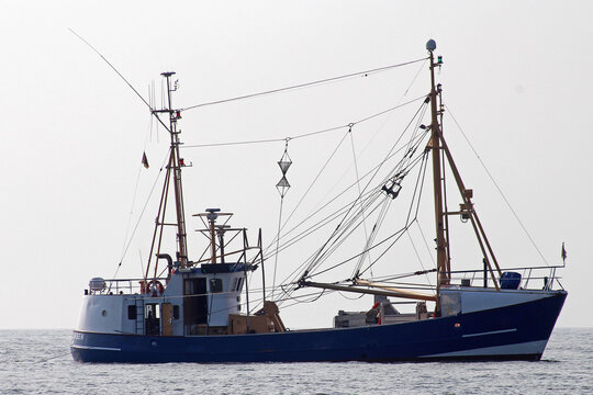 Angelkutter Bilder – Durchsuchen 10,219 Archivfotos, Vektorgrafiken und ...