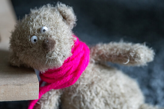 Knuddelig Bilder – Durchsuchen 1,612 Archivfotos, Vektorgrafiken und ...