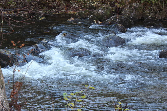 Vann Bilder – Durchsuchen 155 Archivfotos, Vektorgrafiken und Videos ...