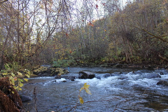 Vann Bilder – Durchsuchen 155 Archivfotos, Vektorgrafiken und Videos ...