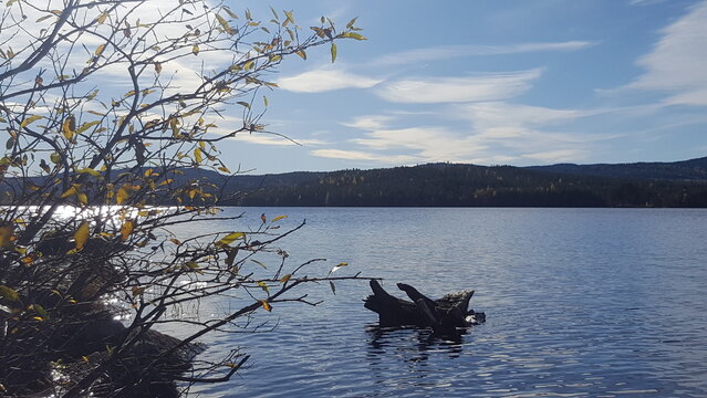 Vann Bilder – Durchsuchen 155 Archivfotos, Vektorgrafiken und Videos ...