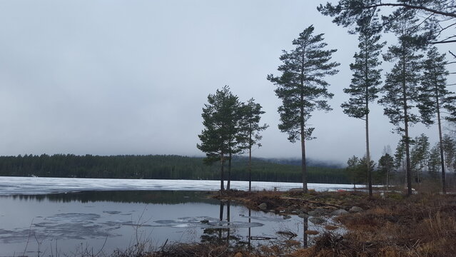 Vann Bilder – Durchsuchen 155 Archivfotos, Vektorgrafiken und Videos ...