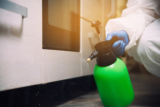 Disinsection Bilder – Durchsuchen 602 Archivfotos, Vektorgrafiken und ...