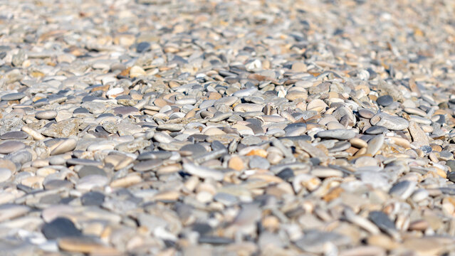 รูปภาพCaillasse – เลือกดูภาพถ่ายสต็อก เวกเตอร์ และวิดีโอ1,434 | Adobe Stock