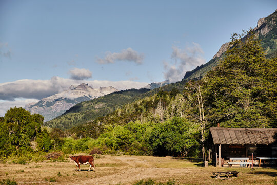 รูปภาพManso – เลือกดูภาพถ่ายสต็อก เวกเตอร์ และวิดีโอ660 | Adobe Stock