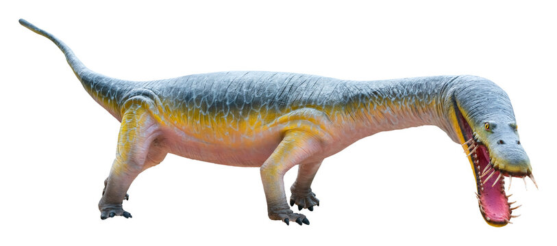 Nothosaurus Images – Browse 41 Stock Photos, Vectors, and Video | Adobe ...