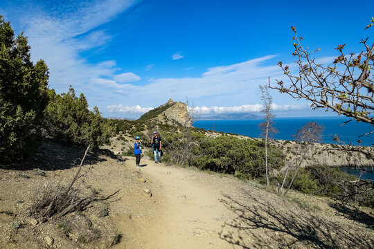 「Galitsin」の画像 - 1,264 件の Stock 写真、ベクターおよびビデオ | Adobe Stock