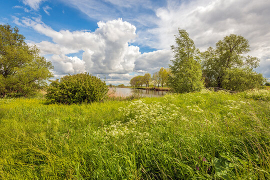 Vegetated Images – Browse 17,488 Stock Photos, Vectors, and Video ...