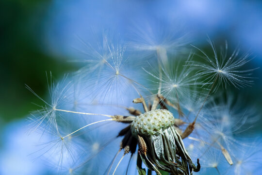 รูปภาพSeasom – เลือกดูภาพถ่ายสต็อก เวกเตอร์ และวิดีโอ364 | Adobe Stock
