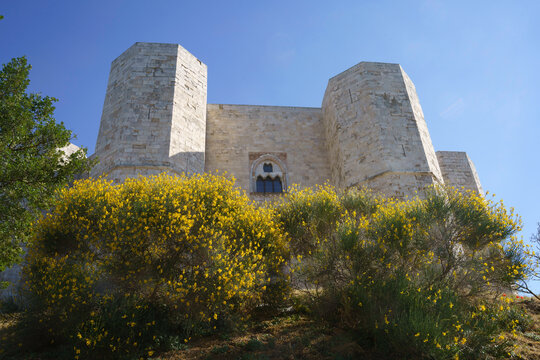 รูปภาพCorato – เลือกดูภาพถ่ายสต็อก เวกเตอร์ และวิดีโอ75 | Adobe Stock