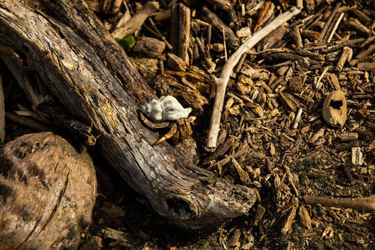 Restitution Images – Browse 1,621,027 Stock Photos, Vectors, and Video ...