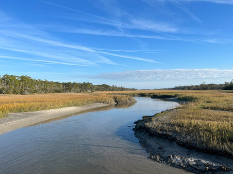 รูปภาพSpartina – เลือกดูภาพถ่ายสต็อก เวกเตอร์ และวิดีโอ227 | Adobe Stock