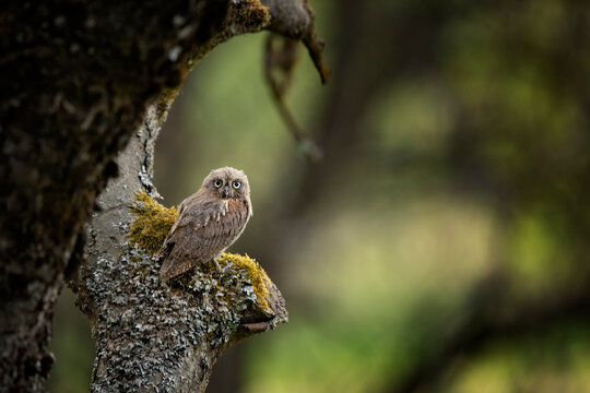 「Funwise」の写真素材 | 54件の無料イラスト画像 | Adobe Stock