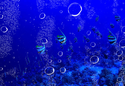 Pollyfish Billeder – Gennemse 7,172 stockfotos, vektorer og videoer ...