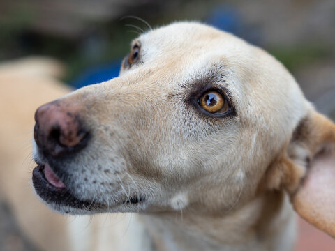 Bernhard photos, images, assets | Adobe Stock