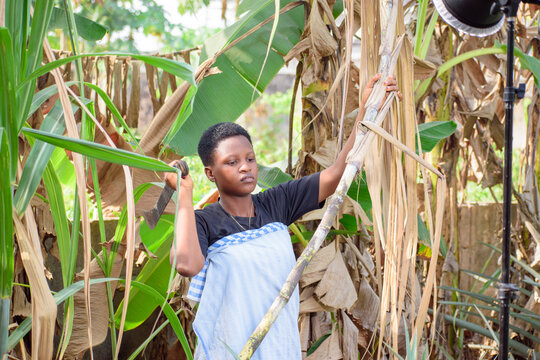 Cutlass Bilder – Durchsuchen 4,866 Archivfotos, Vektorgrafiken und ...