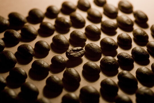 Distinctive Images – Browse 674,611 Stock Photos, Vectors, and Video ...