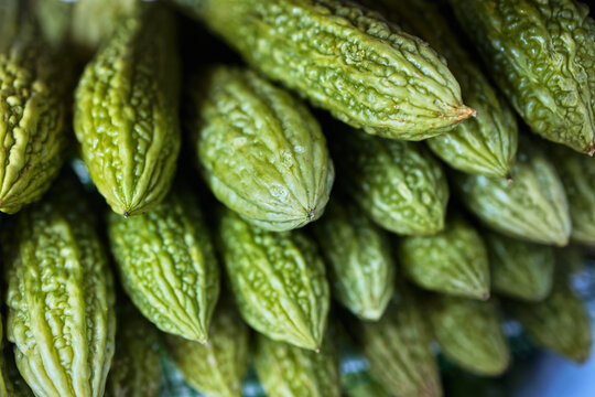 "Balsam Apple" Images – Browse 839 Stock Photos, Vectors, and Video ...