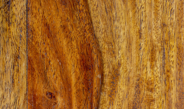 Imágenes de Teka Wood: descubre bancos de fotos, ilustraciones ...